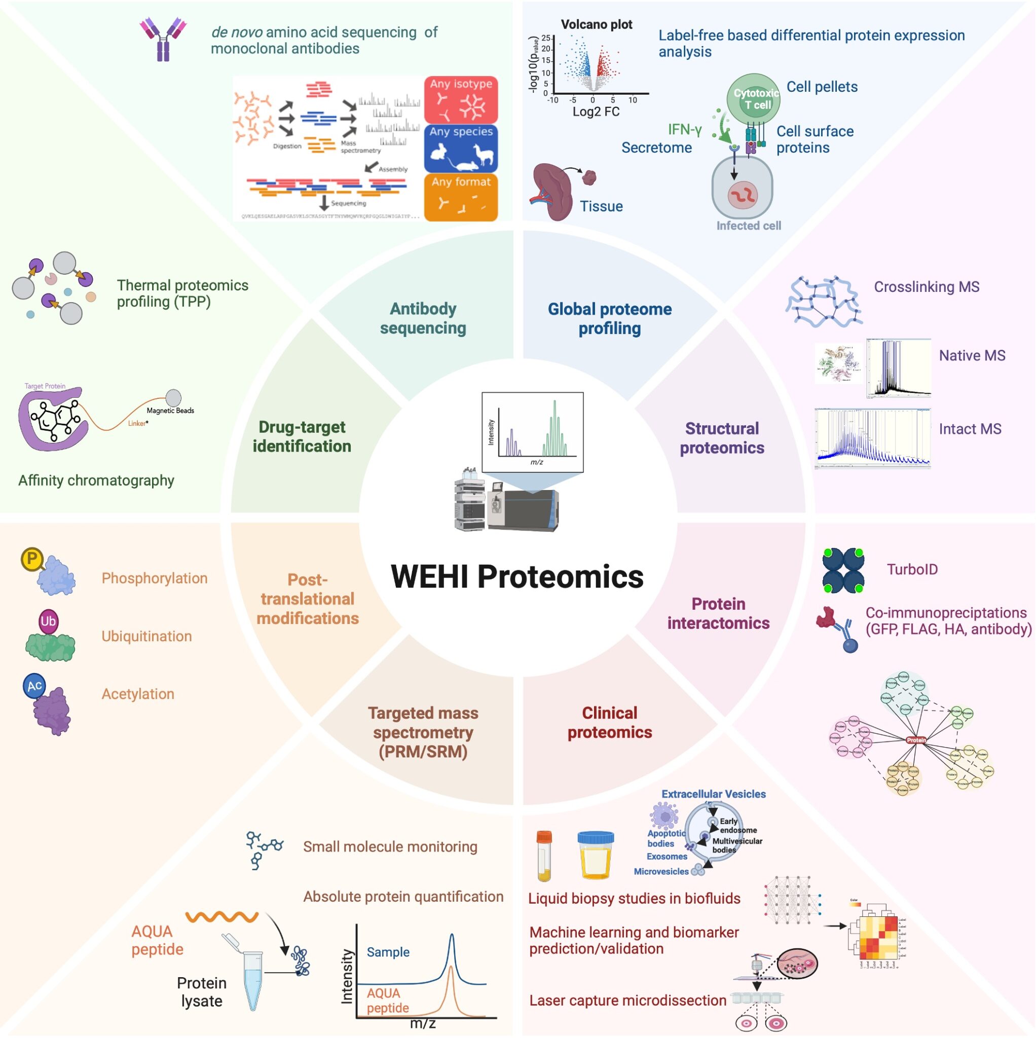 Proteomics Facility: Mass Spectrometry Services | WEHI