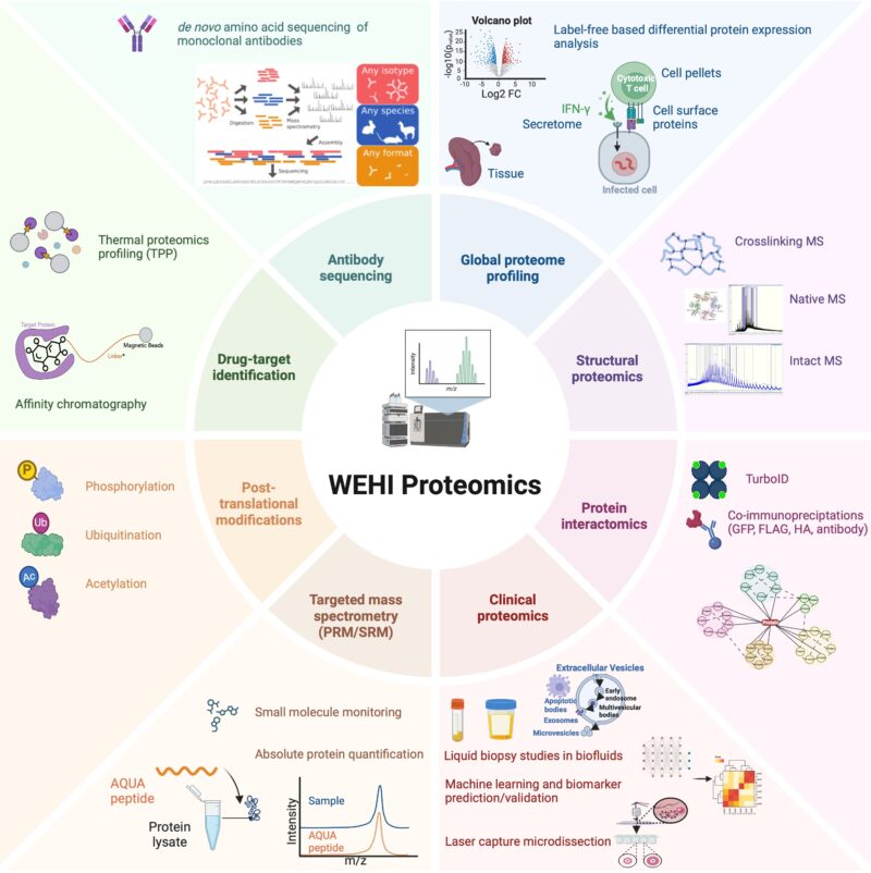 Proteomics Facility: Mass Spectrometry Services | WEHI
