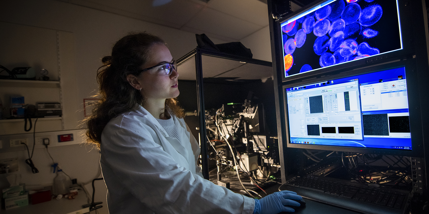 Imaging: Research & Insights | WEHI