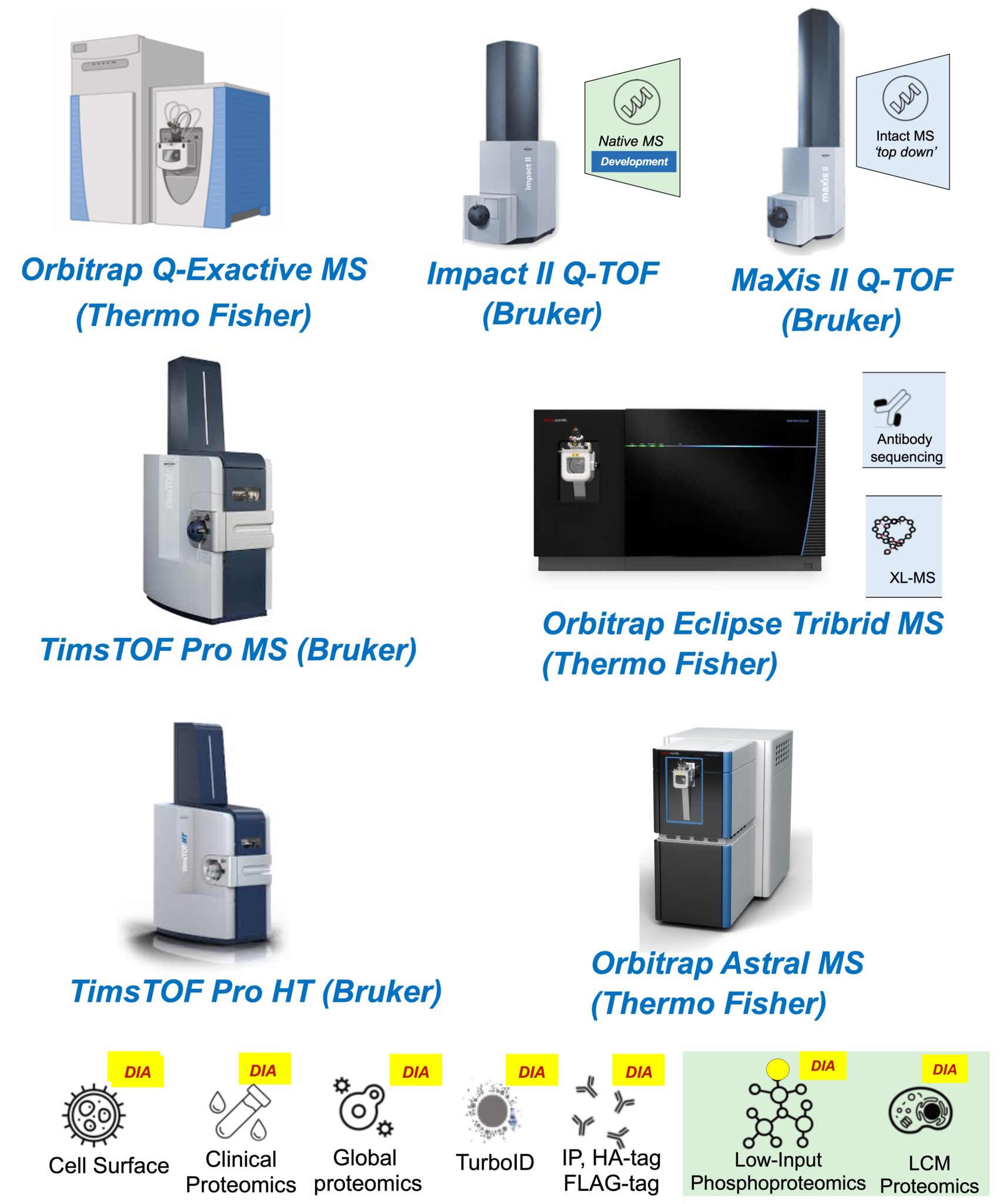 Proteomics Facility: Mass Spectrometry Services | WEHI