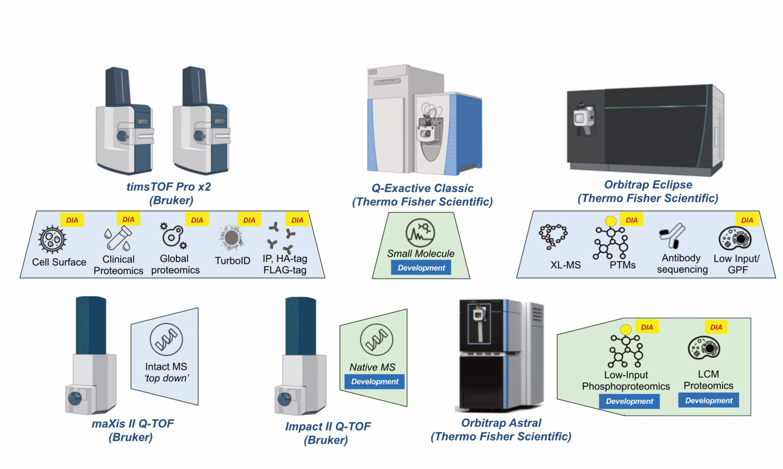 Proteomics Facility: Mass Spectrometry Services | WEHI