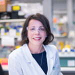 A/Prof Kate Sutherland, Lab Head | WEHI Researcher Profile