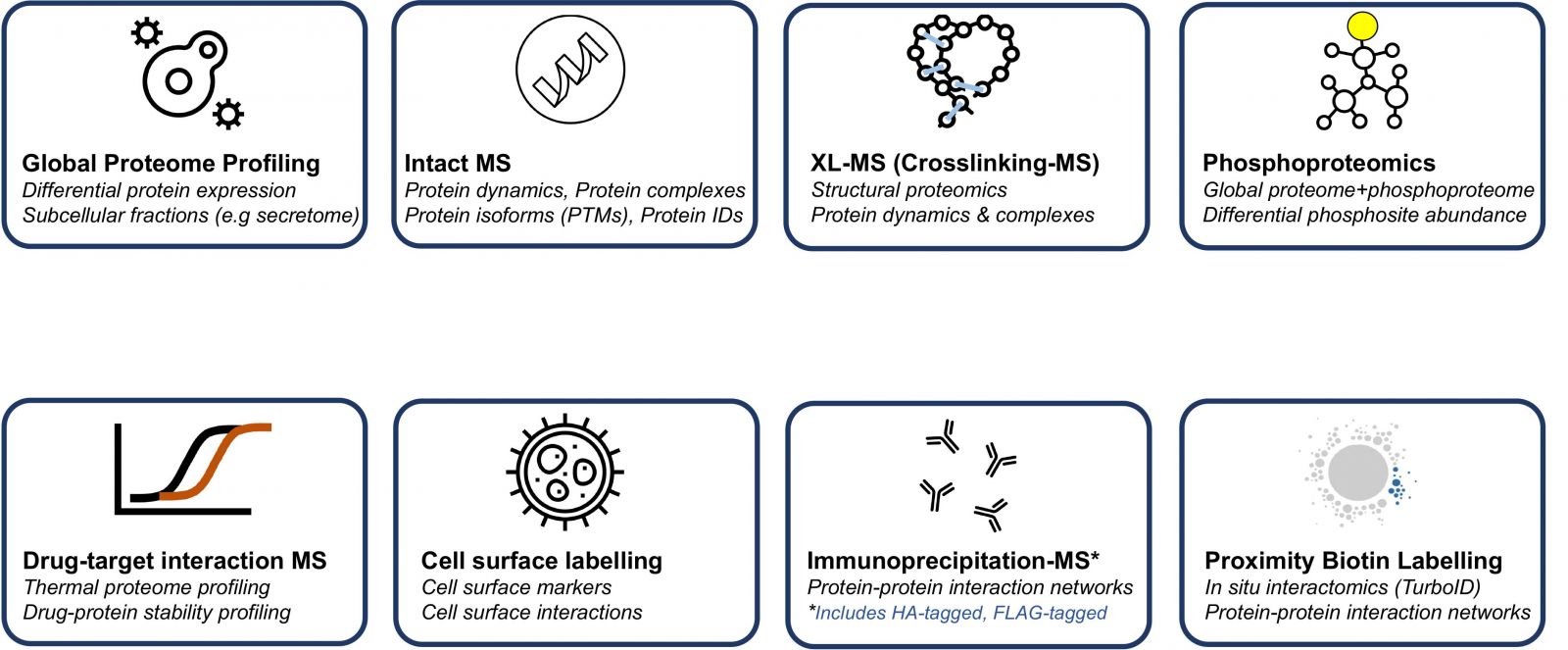 Proteomics Facility: Mass Spectrometry Services | WEHI