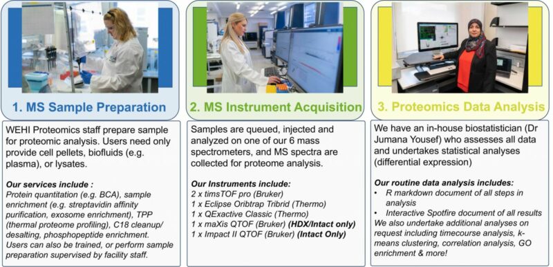 Proteomics Facility: Mass Spectrometry Services | WEHI