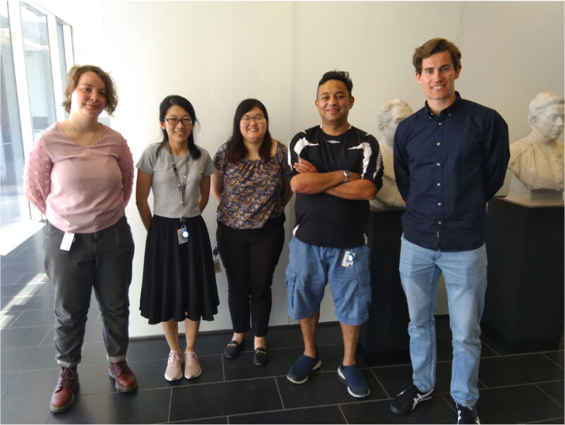 The Molecular Machines Visualisation Lab: Heterochromatin | WEHI