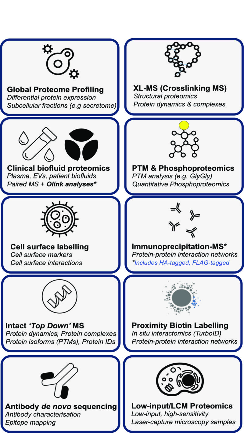 Proteomics Facility: Mass Spectrometry Services | WEHI