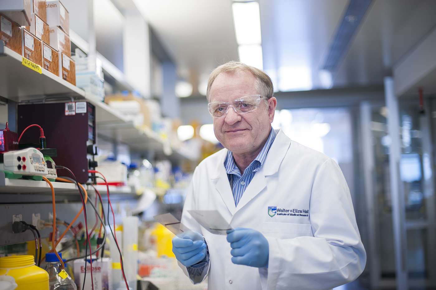 WEHI History: 1988 Gene Revolutionizes Cancer Understanding | WEHI