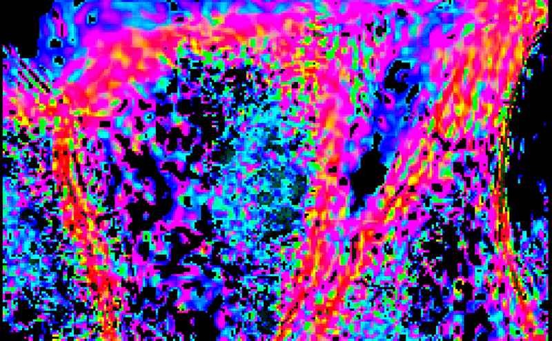 Art of Science: FLIM Festival | WEHI