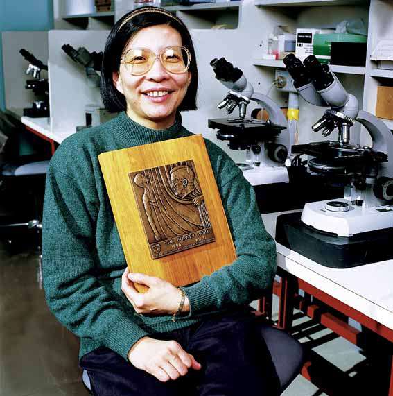 WEHI History: 1994 Understanding White Blood Cell Development | WEHI