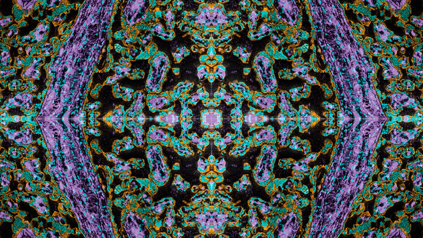 Art of Science: Tapestry of Life | WEHI