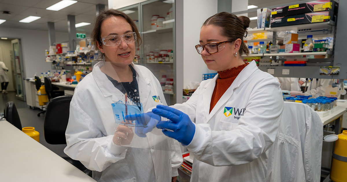 When cells go boom: study reveals inflammation-causing gene carried by ...