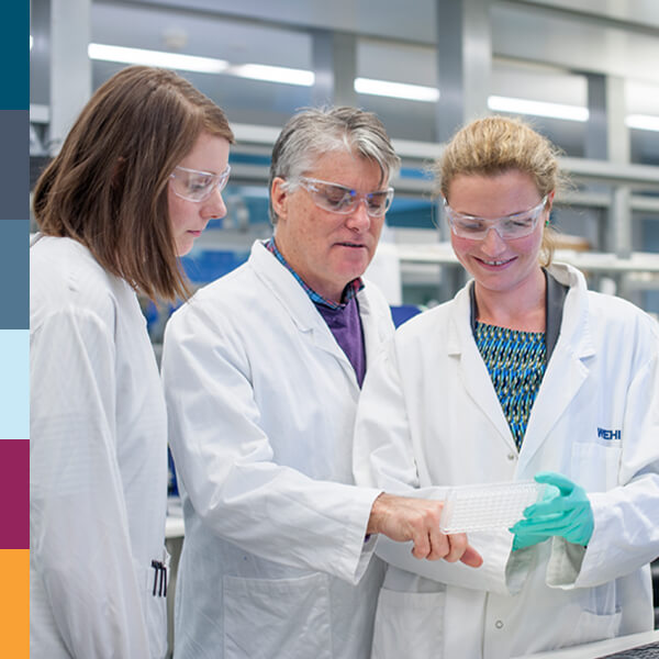 Snow Centre for Immune Health | WEHI