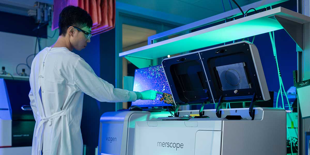 Spatial omics sparks a science revolution | WEHI