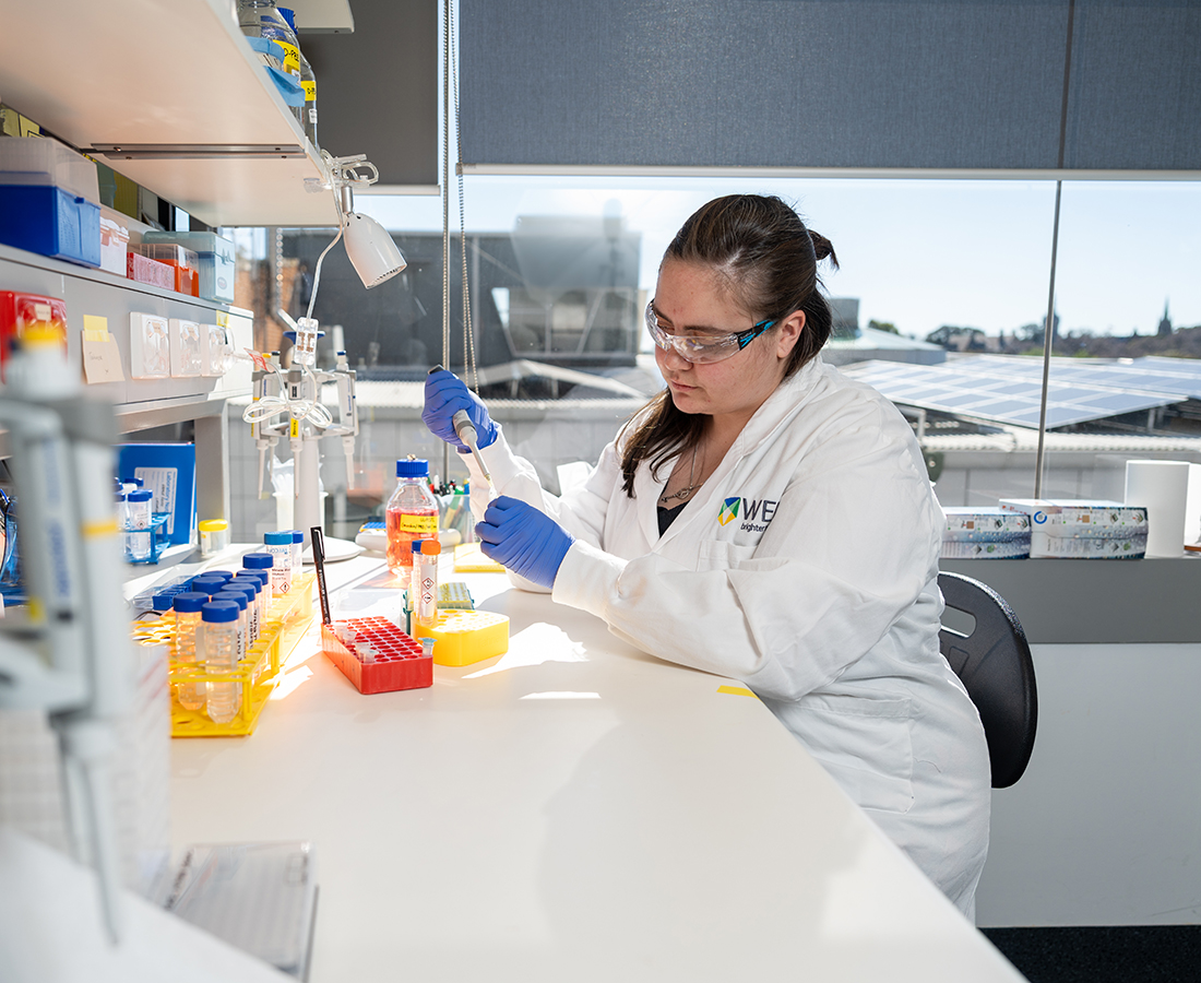 WEHI Ventures and 66ten | WEHI