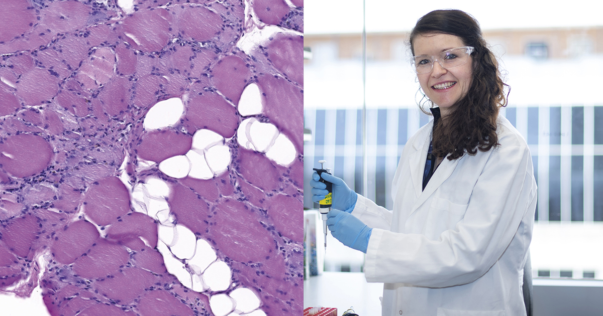 Medical marvels: the critical role of clinician-scientists | WEHI