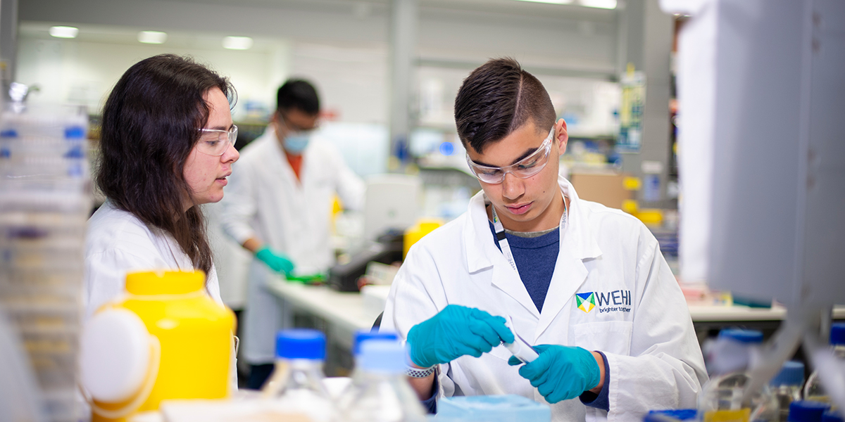 Work experience | WEHI