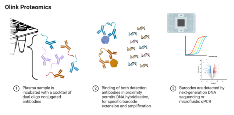 Olink proteomics platform | WEHI