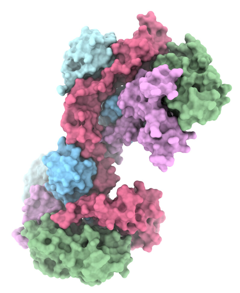 Structural Investigation Of E3 Ubiquitin Ligases In Innate Immune