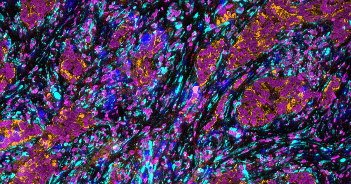 Art of Science: Archipelago | WEHI