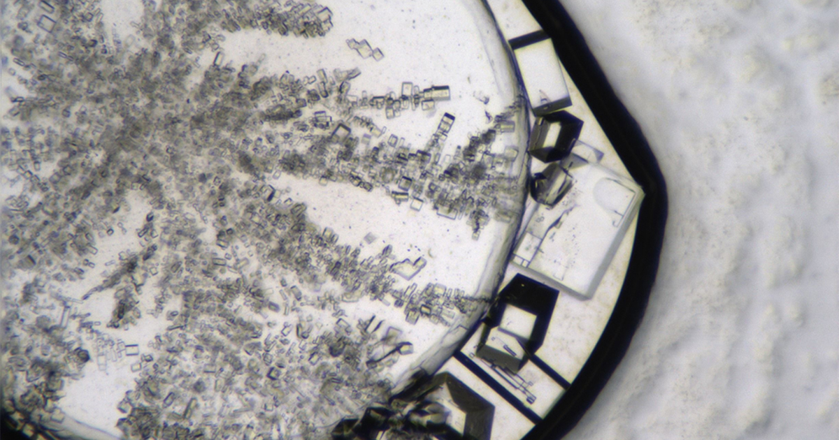 Art of Science: Beyond the Boundary | WEHI