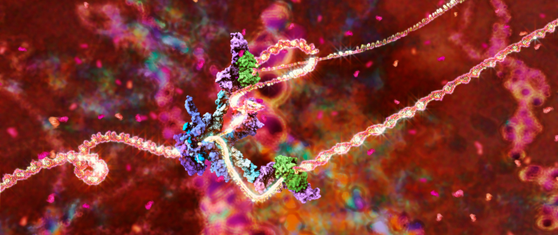 Björk “Hollow” music video: Vibrant Animation & Explanation | WEHI TV