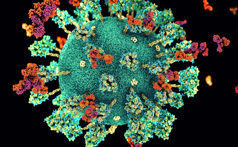 Tackling the ‘silent pandemic’: breakthrough study puts first long ...