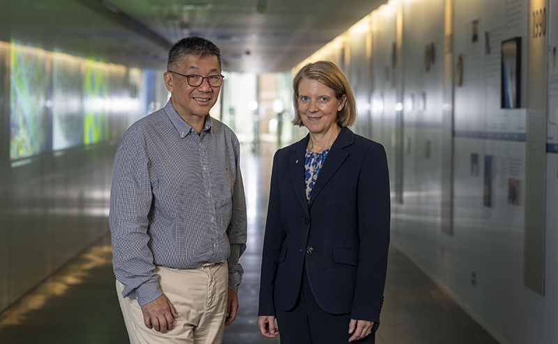 Cancer research pioneers honoured as Academy Fellows | WEHI