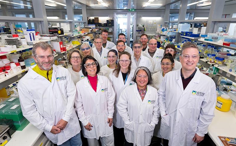 From a spark of vision to a global health legacy | WEHI