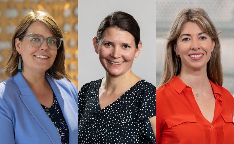 Exceptional new laboratory heads to lead innovative research programs ...